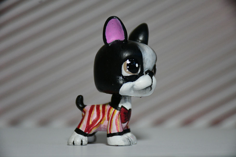 Tous nos LPS | All our LPS | MyushoppyLPS 7/10