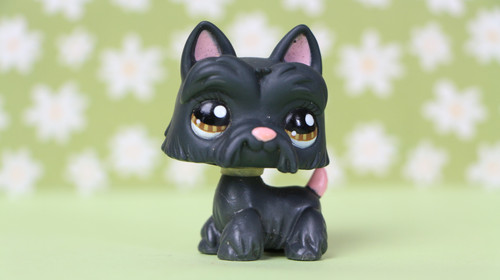 LPS Westie Dog #1034 | MyushoppyLPS