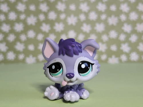 LPS Puppy Husky Dog #1810 | MyushoppyLPS