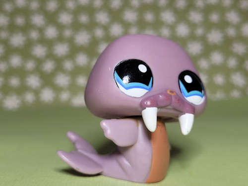LPS Walrus #1119 | MyushoppyLPS