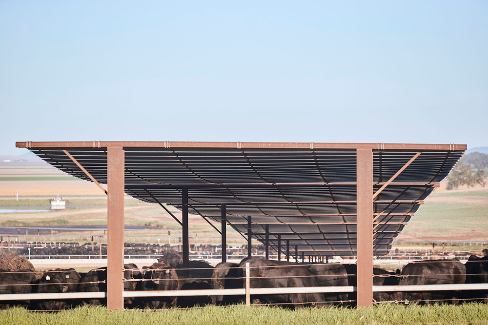 Why shade is important and how to decide the best system for your operation