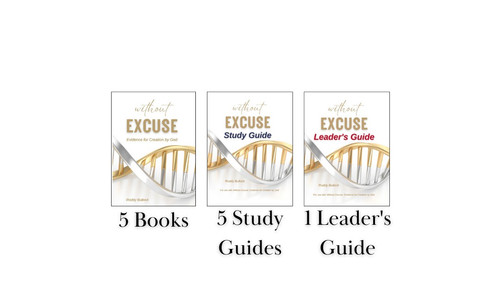 5-Pack Group Package | Creation Reformation