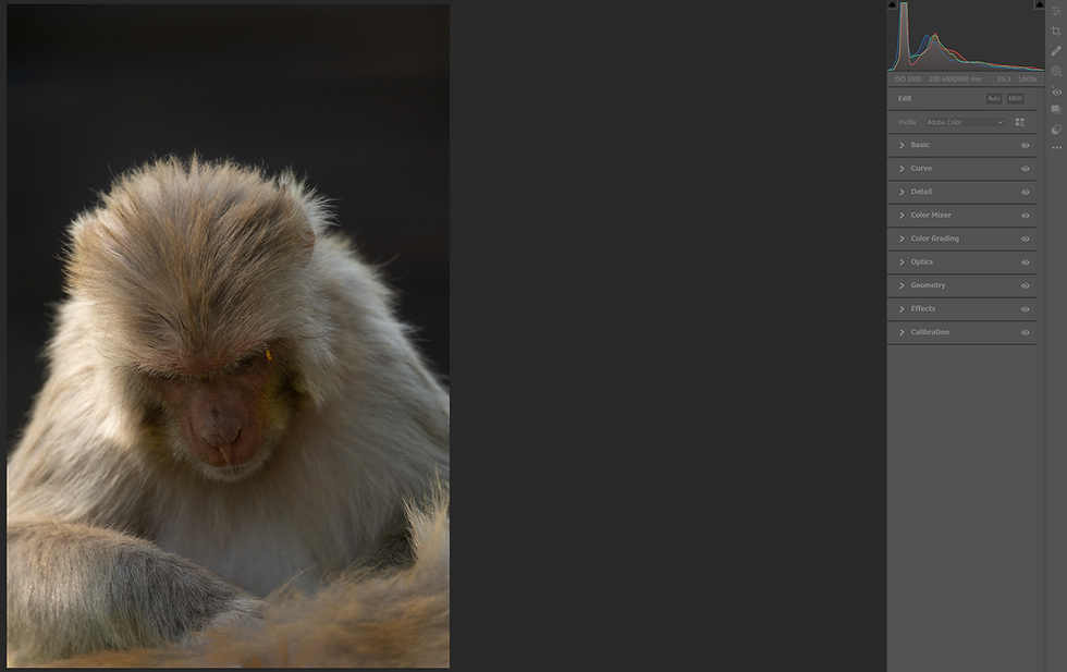 Shifting Perspectives: The Art of Changing Camera Angles