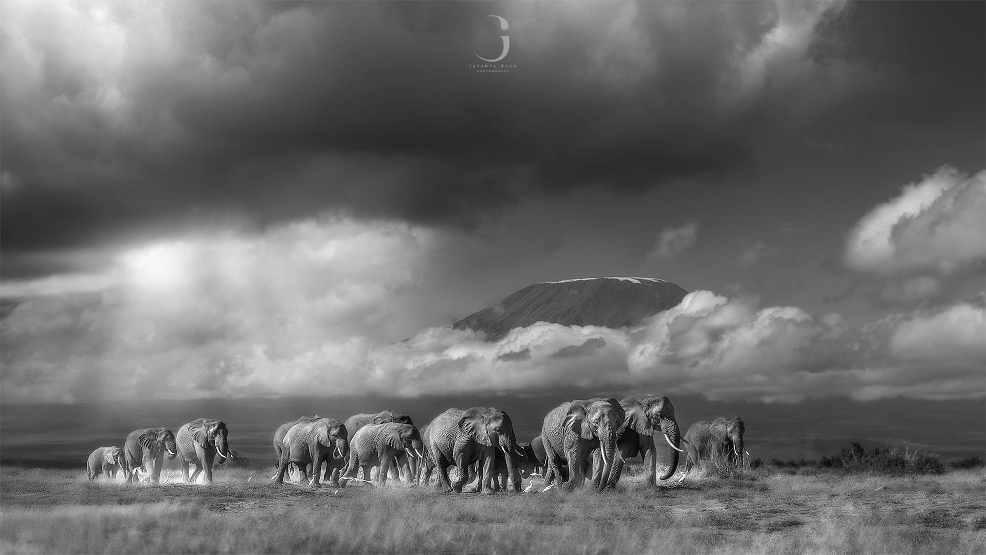 Mastering Dodging and Burning: A Step-by-Step Photoshop Tutorial for ...