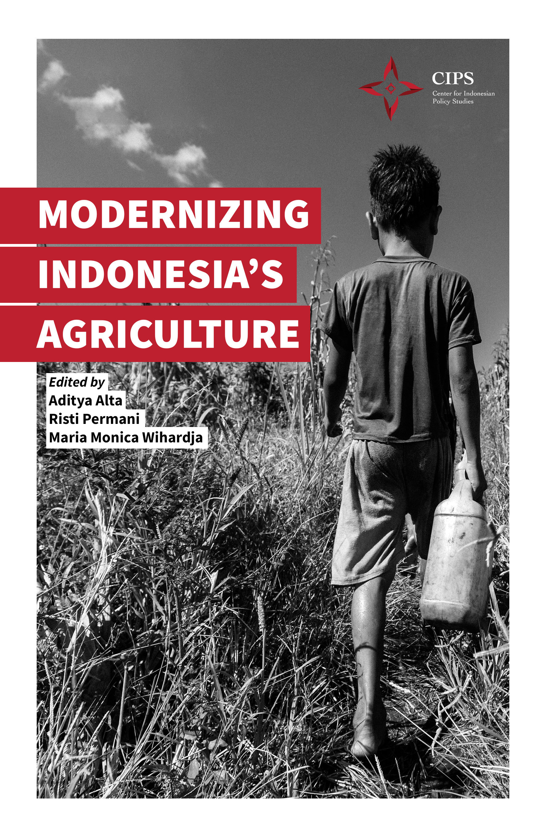 Modernizing Indonesia’s Agriculture