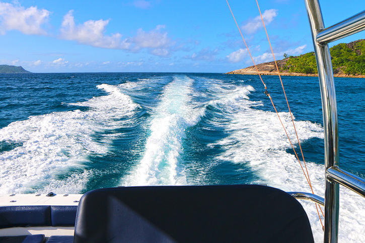 Photo Gallery at Infinity Boat Charter