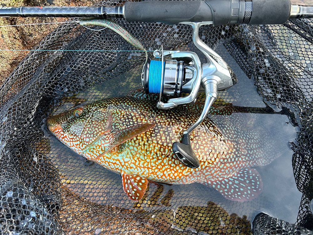 LINE ANGLES & LURE FISHING