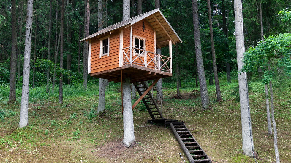 The Ultimate Guide to Building a Safe and Fun Treehouse: DIY Treehouse ...