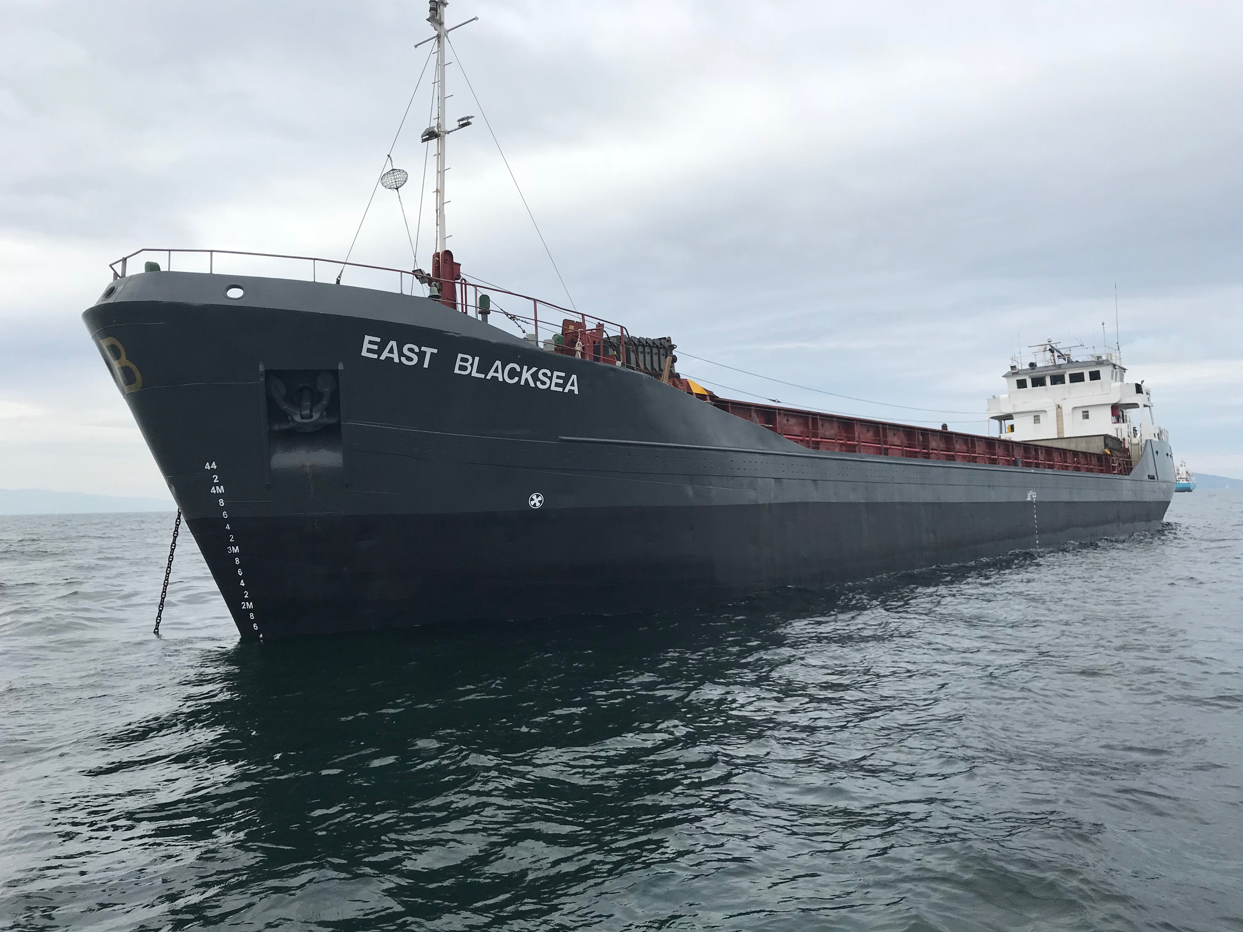 NMS | New Moon Shipping