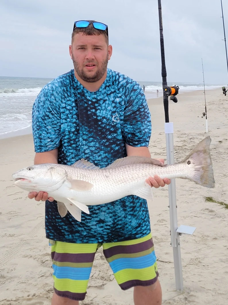 Drum Rigs (8NBait) | Reel Lulu Fishing Ch