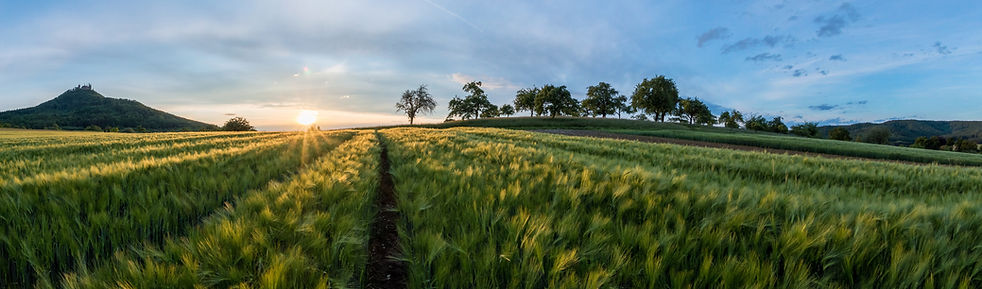 Gharda Chemicals Ltd. | Pennsylvania | Gharda USA