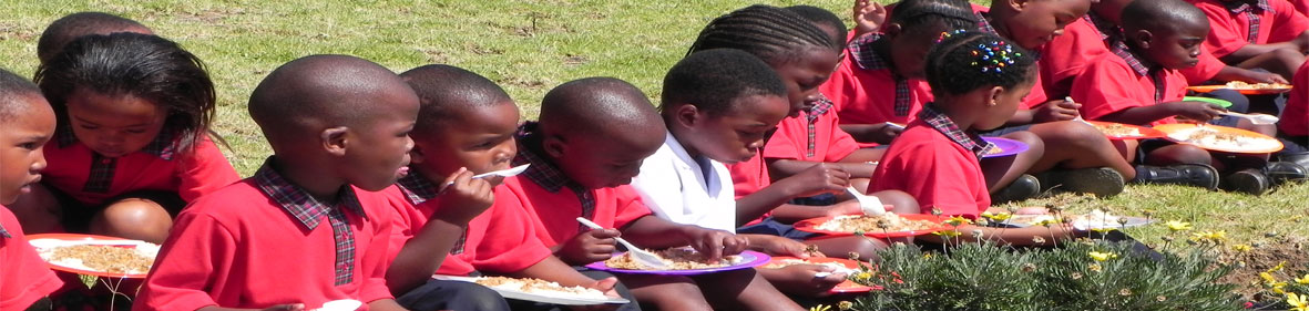 Sizani Foods - Feeding Scheme Supply