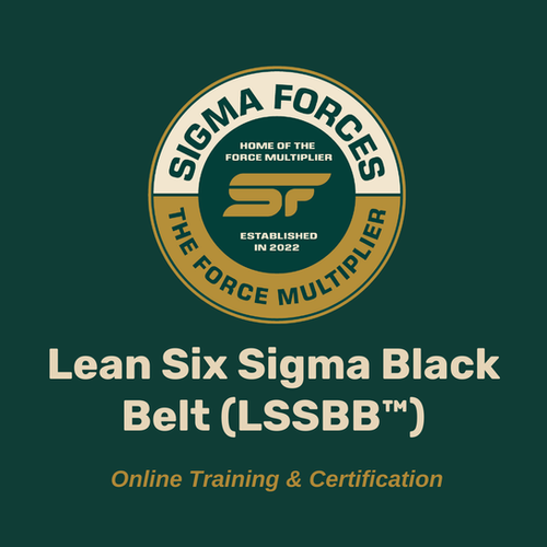 Lean Six Sigma Black Belt (LSSBB) Certification