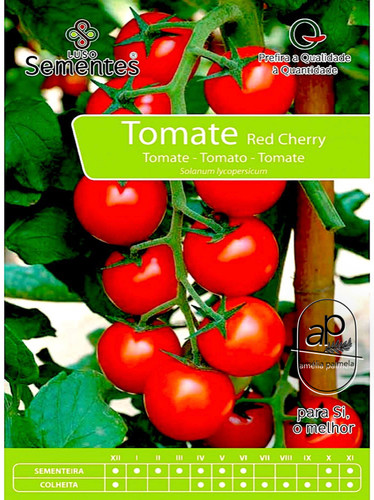 Tomate Red Cherry | ameliapalmela