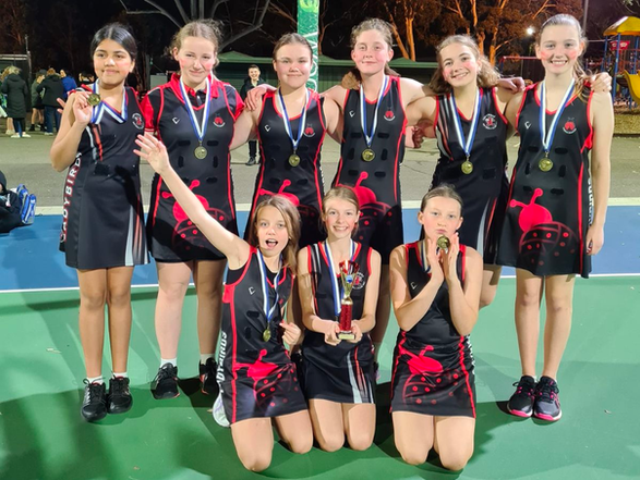 News | Ladybirds Netball