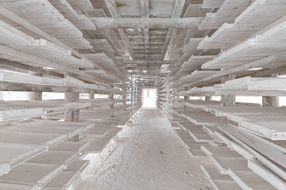 【田川産業】MILIME(ミライム)開発への想い『学校や病院など抗菌の必要な広い建物で、漆喰を』