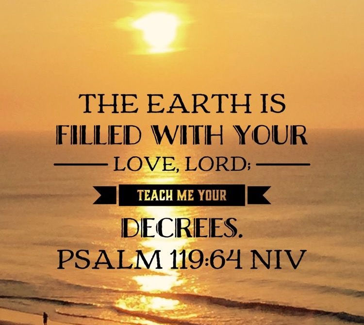 Daily Bible Verse About Seeking Truth Bible Time Daily Bible Verse About Seeking Truth Bible Time