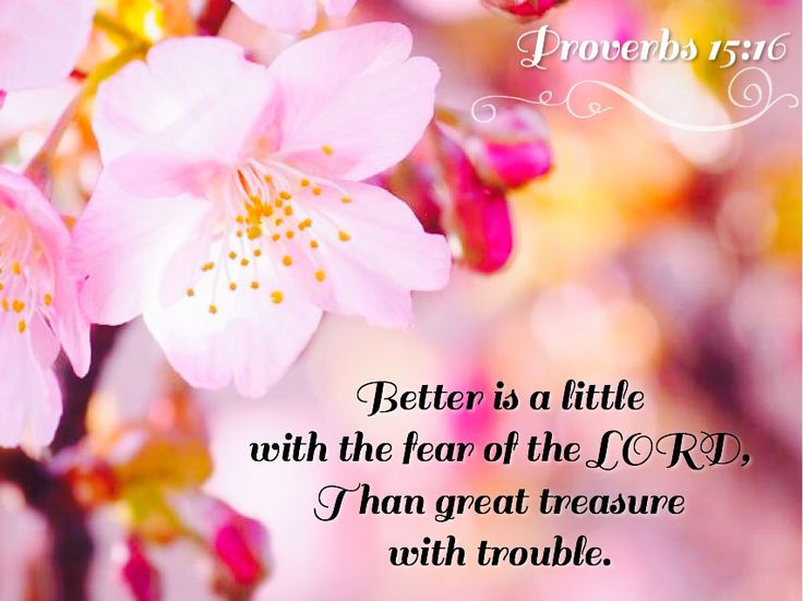 Daily Bible Verse About Getting Your Priorities Right - Bible Time