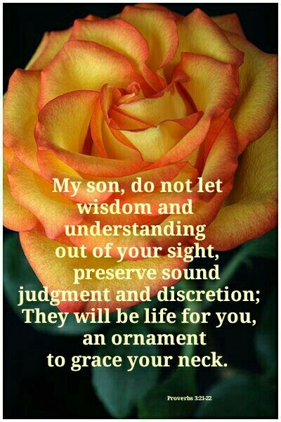 Daily Bible Verse About Discernment | Bible Time