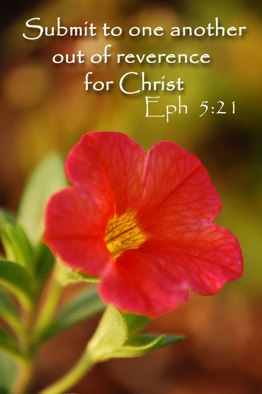 Daily Bible Verse About Submitting To Others | Bible Time