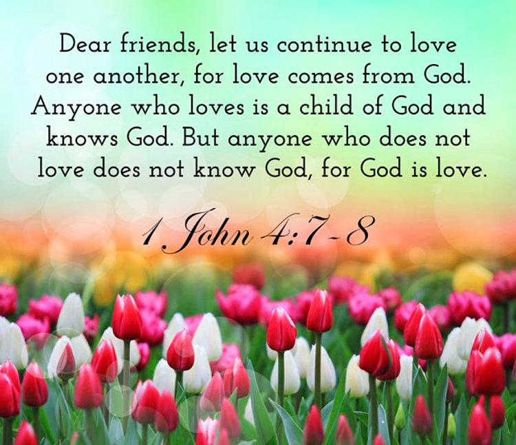 Daily Bible Verse About Loving Others - Bible Time