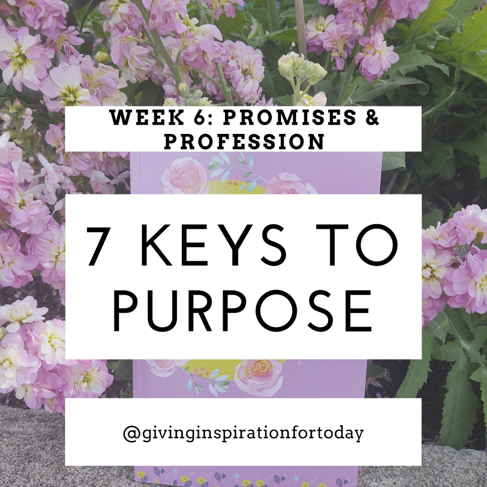 7 Keys To Purpose I Week 6: Promises and Profession