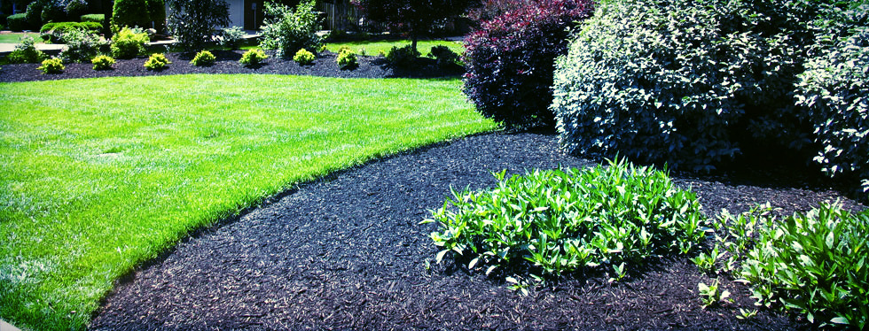 6 Reasons why mulching is good for your garden | My Garden Lawn Care ...