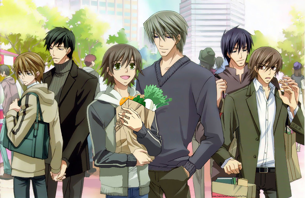 Mi opinión sobre "Junjou Romántica"