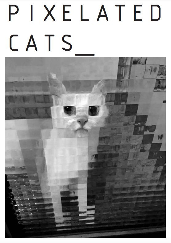 Pixelated Cats