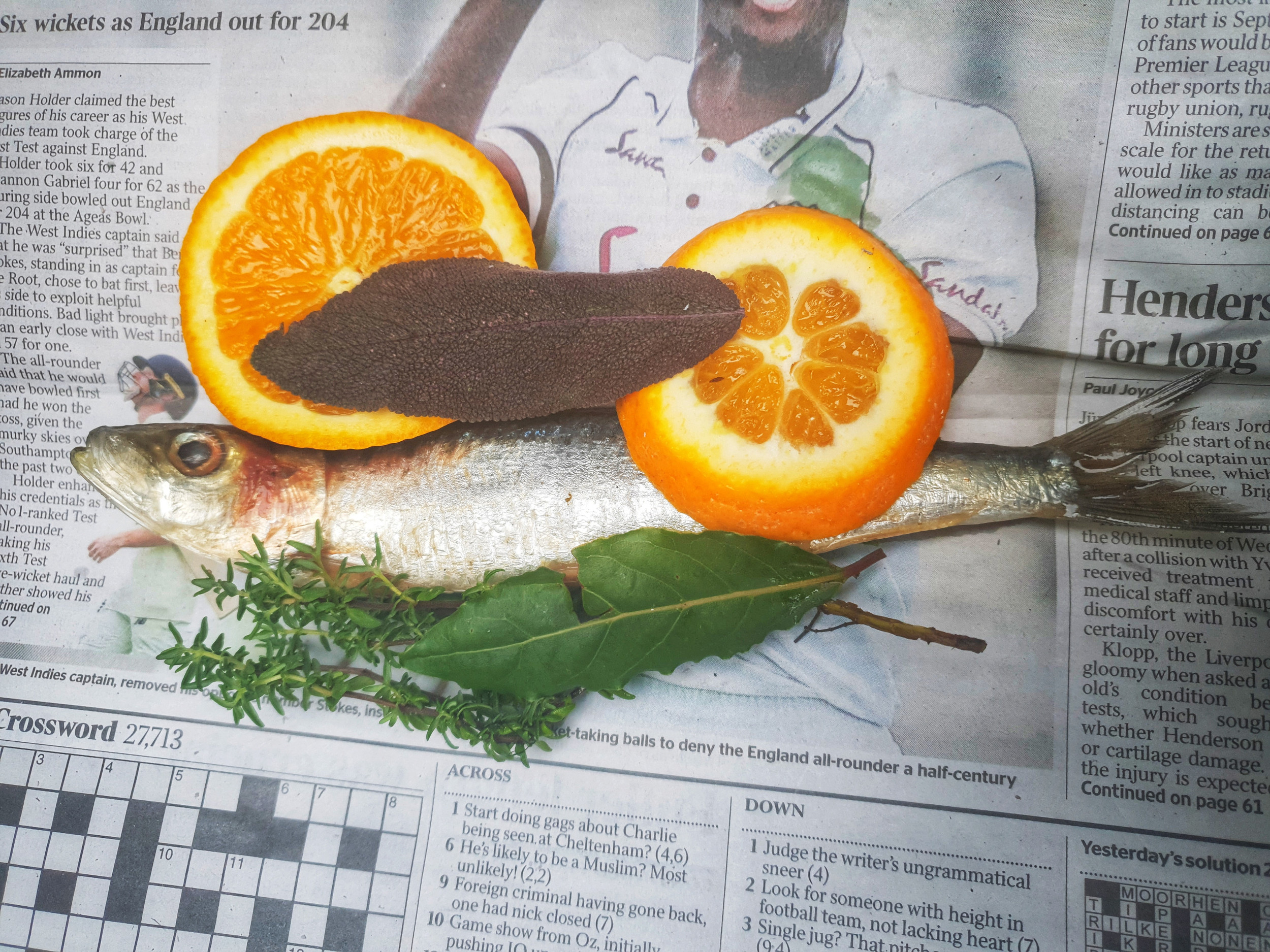 fish in paper | Wildforlife