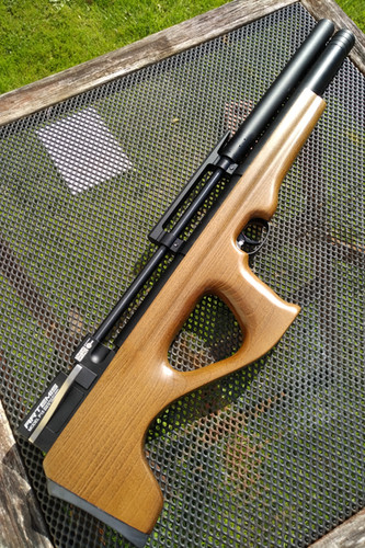 Artemis P15 22cal | Mooredges