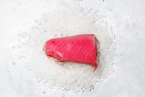 Yellow-Fin Tuna | SEA Kings