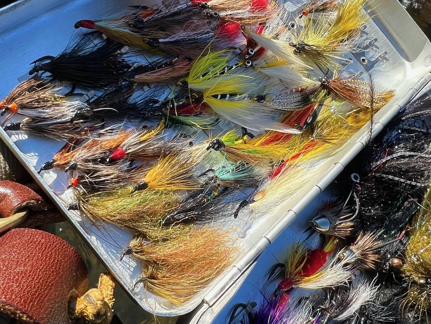 November Fly Fishing in North Georgia