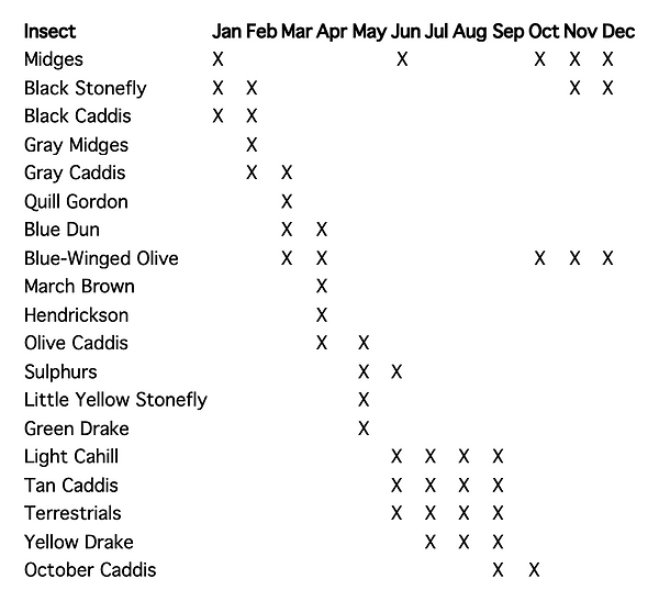 North Georgia Fly Hatch Chart | Blue Ridge GA | Hulsey Fly Fishing