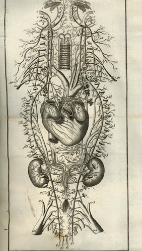 Robert Whytt | Les vapeurs et maladies nerveuses, hypocondriaques ...