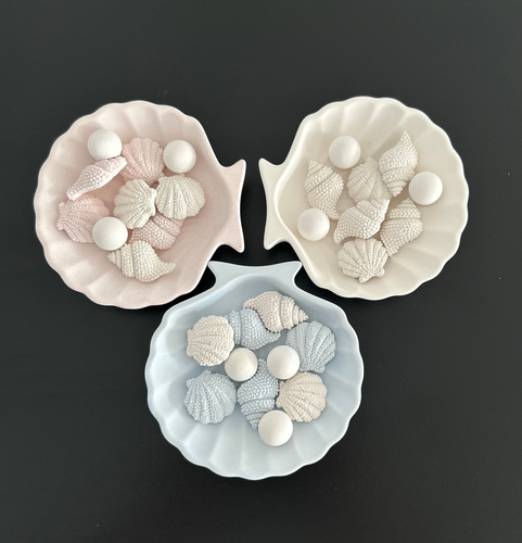 Shell Display Tray/ Shells | Hofss