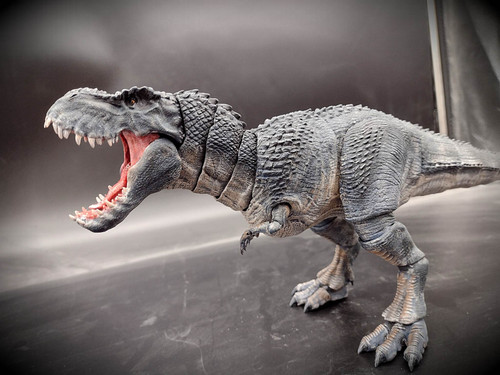 하루에 세번씩 구매 고민하는 - 공룡 마이너 갤러리