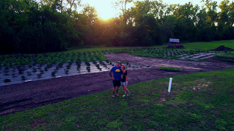 Flowers | Vail Family Farm Llc | Salina