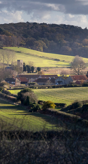 The Glaven Bistro | Local Produce Restaurant | Glandford, Holt