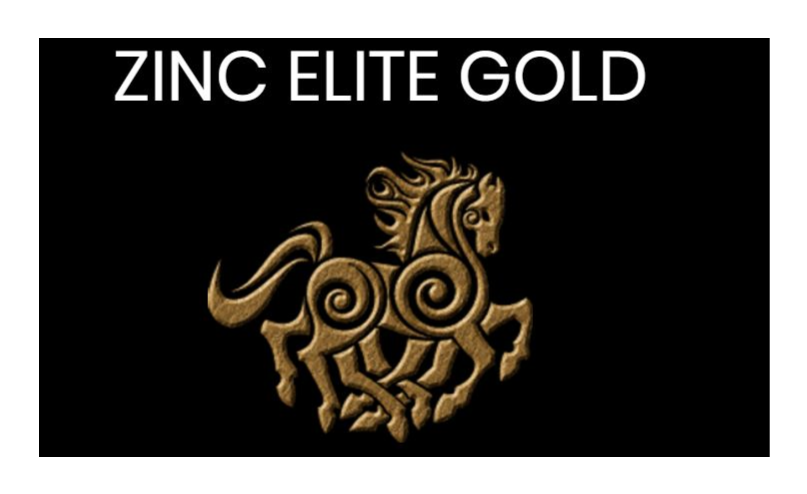 ZINC ELITE GOLD | L3 Supplements