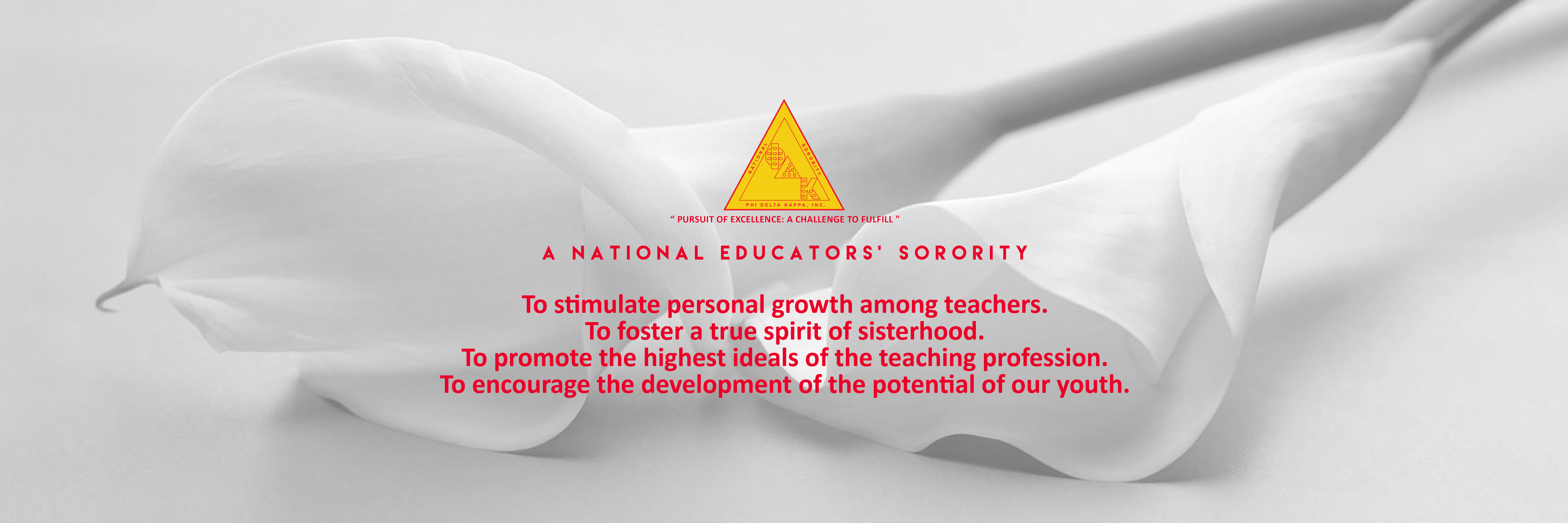 NSPDK | Chicago, IL | National Sorority of Phi Delta Kappa, Inc.