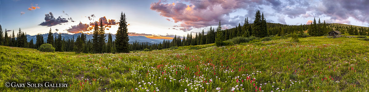 New Releases | Gary Soles Gallery | Breckenridge, CO 80424