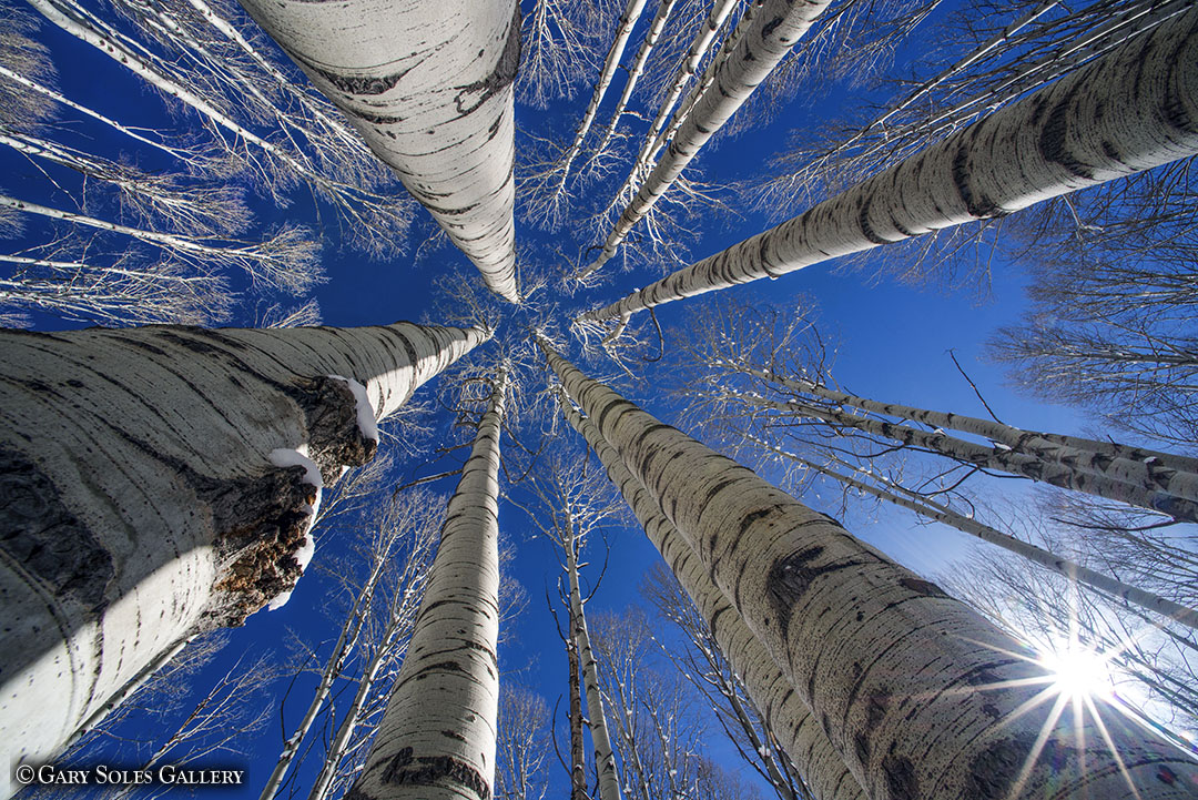 New Releases | Gary Soles Gallery | Breckenridge, CO 80424