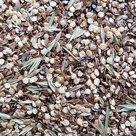 Native Seed Mixes