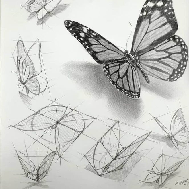 FUNdamentals of Drawing (8-12) | edindrawingschool