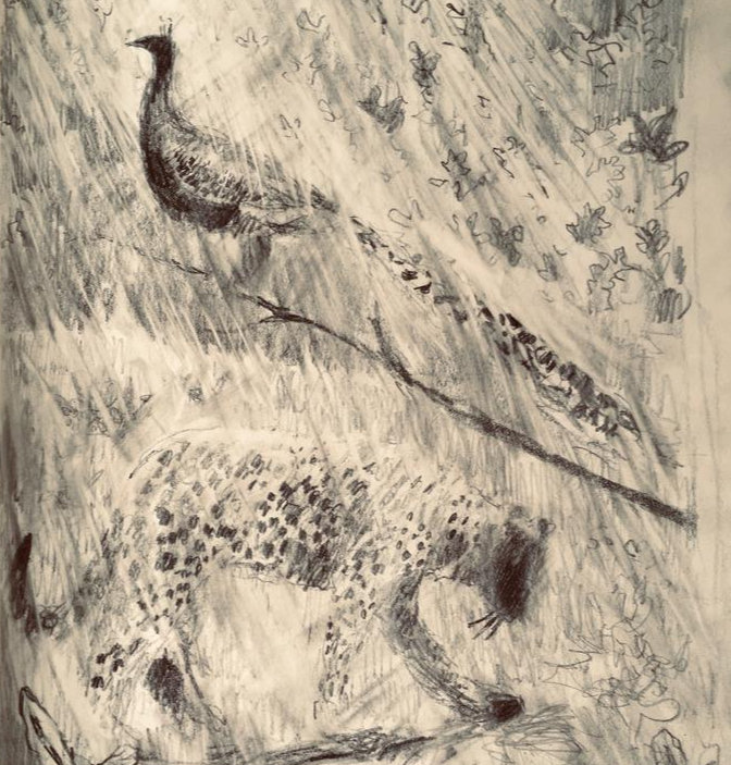 Exploring Drawing Materials | edindrawingschool