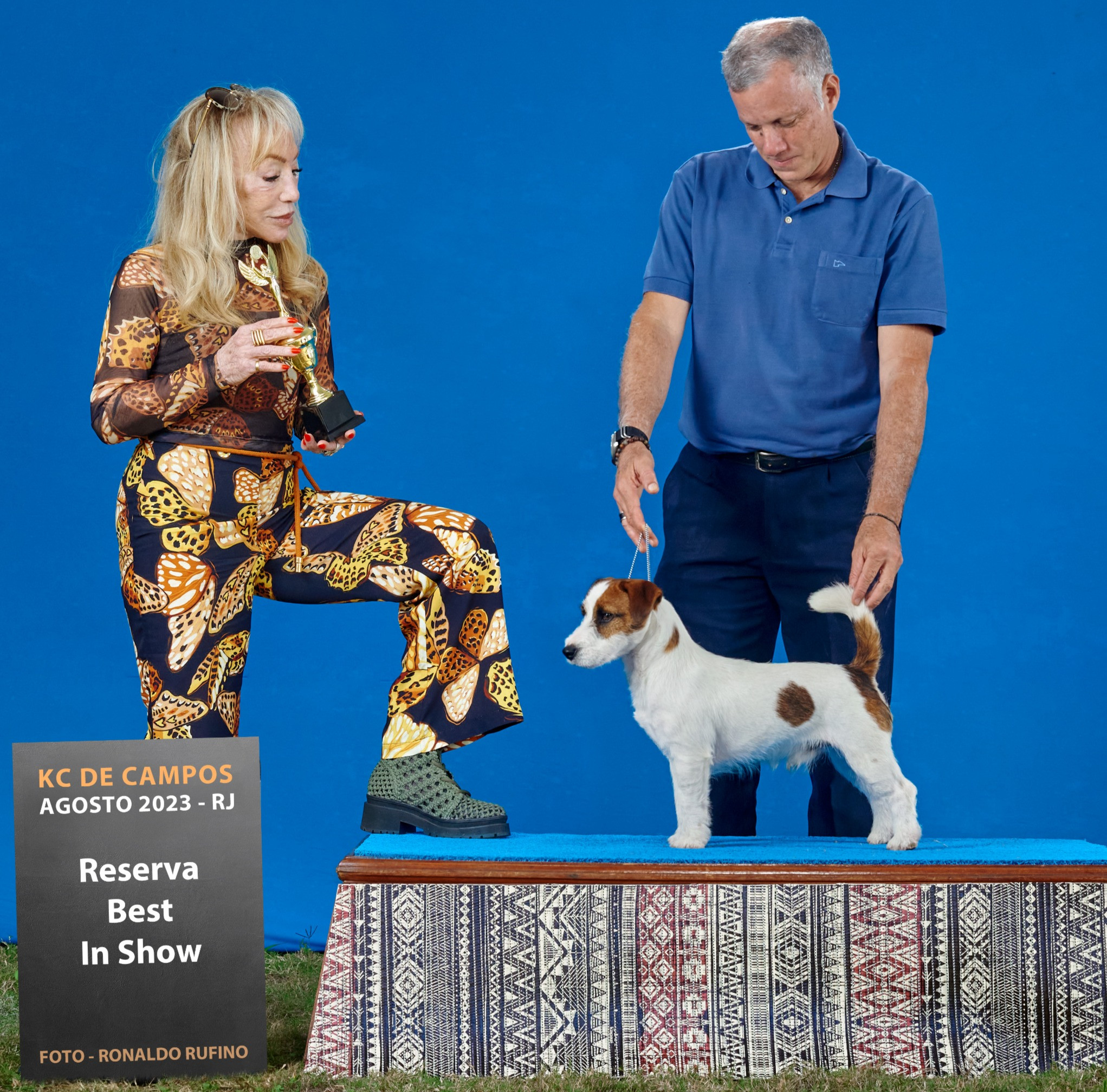 Jackinlove Giant Golia aka Gigio | Jack King of Mountain