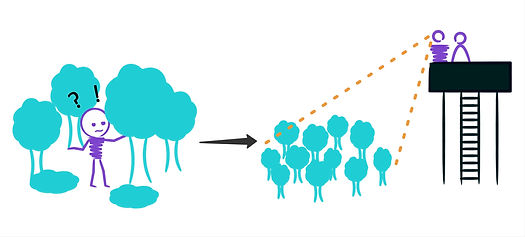 Systems Mapping | Hannah Hartwich