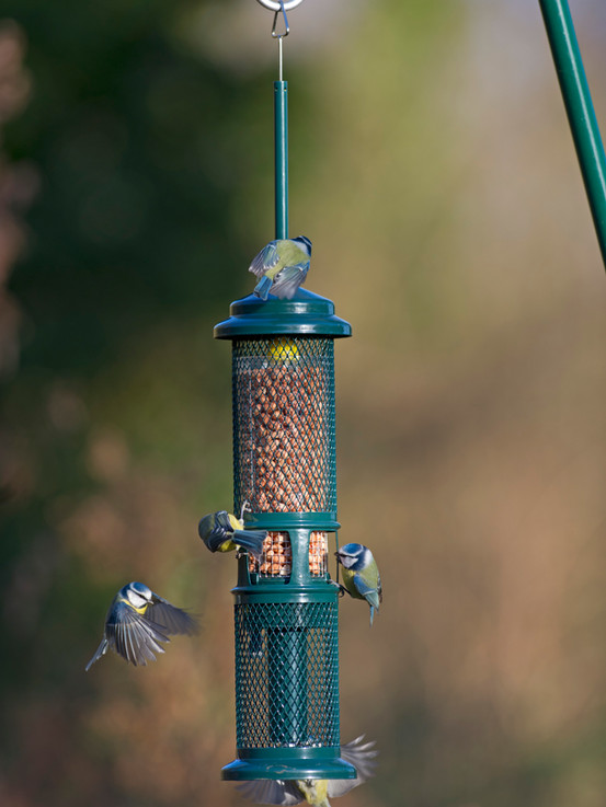 The Squirrel Buster Peanut | 100% Squirrel-Proof Bird Feeder