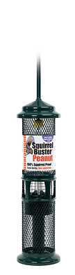 Squirrel Buster | Squirrel Proof Bird Feeders